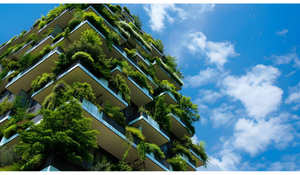Why Construction Holds the Key to Sustainability — and Why Renovation ...